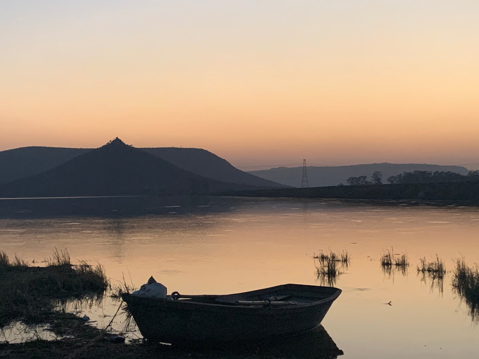 Dam-Raised Fish vs Farmed Fish: Why the Difference Matters – Dam Good Fish