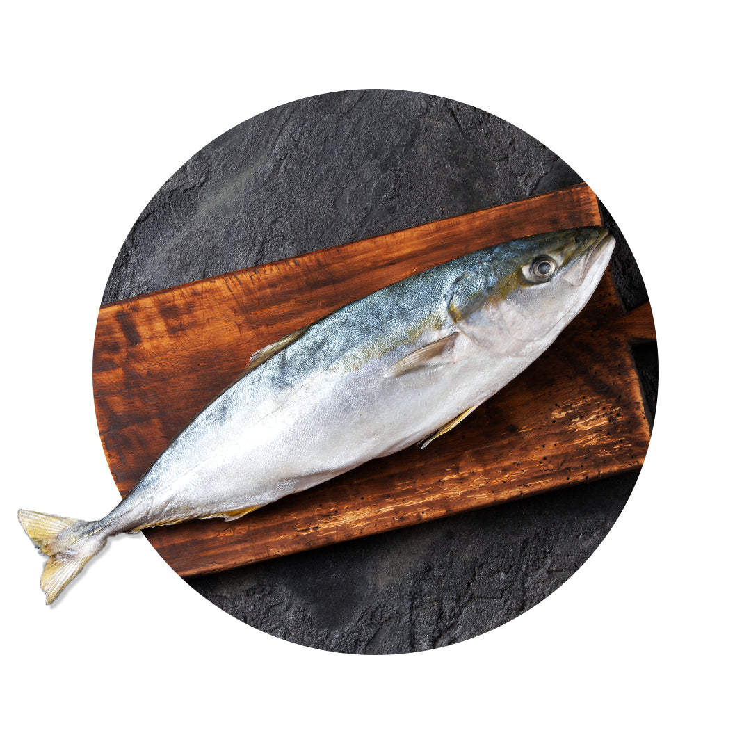 Fresh Fish at Home | Organic Fish | Fish and Seafood | Delhi-Gurgaon ...